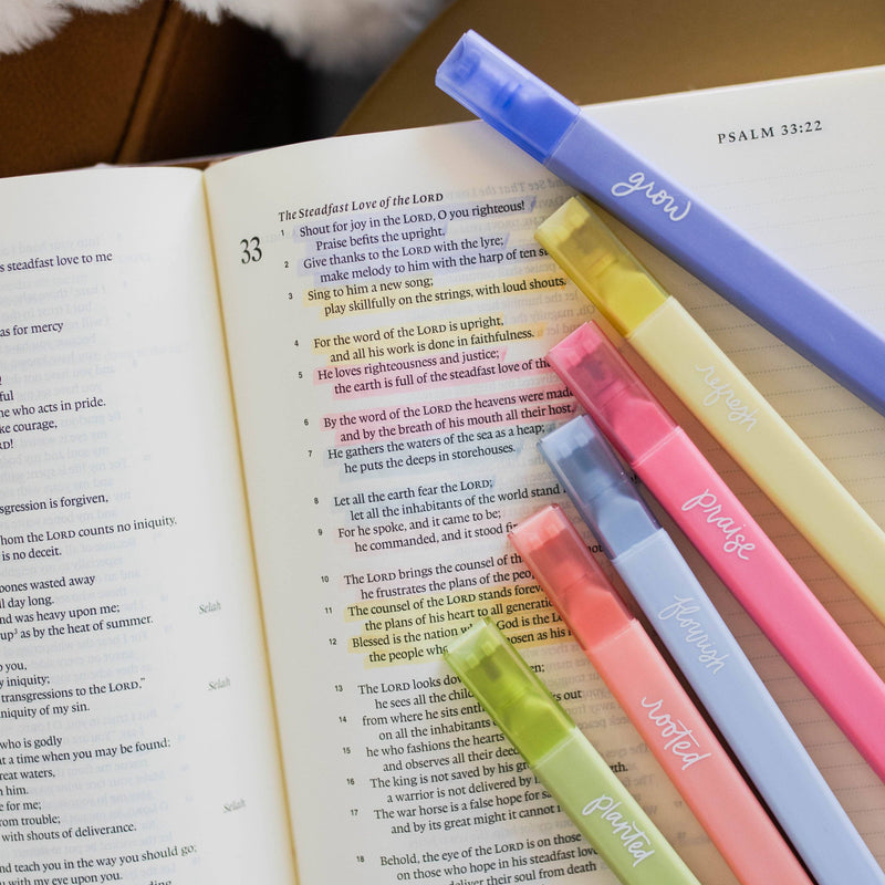 Garden Highlighters – Hollowood at Home