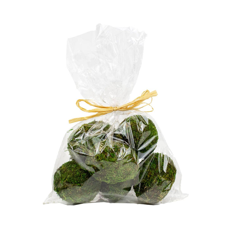 Peter Moss Eggs Green 2x2.5 – Hollowood at Home