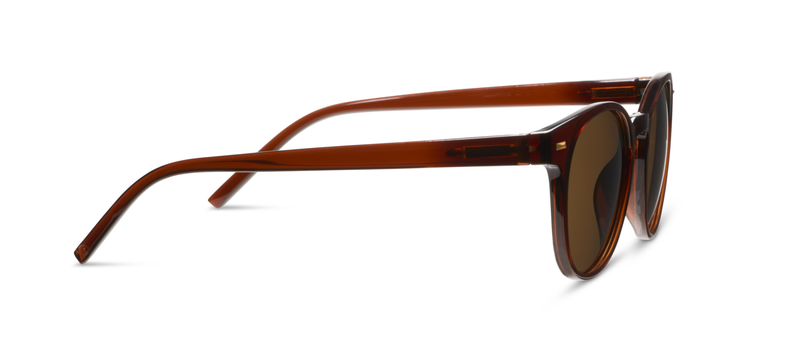 Boho II: Brown Sunglasses – Hollowood at Home