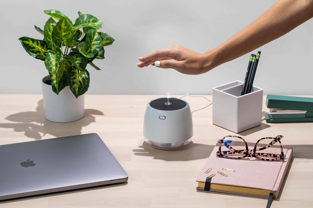 Snap Touchless Mister Hand Sanitizer (Cabana Reservation) – Hollowood ...