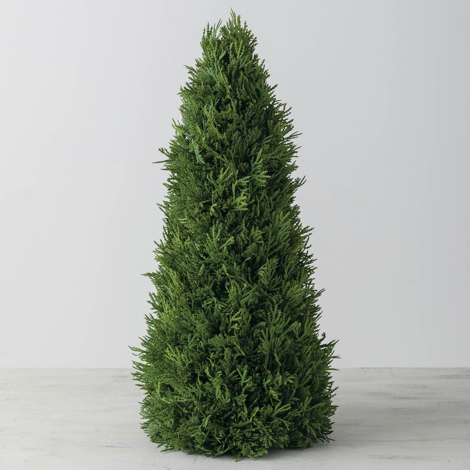 22" CONE SHAPED CEDAR TREE – Hollowood at Home