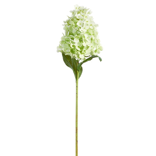 Real Touch Green Hydrangea Stem – Hollowood at Home